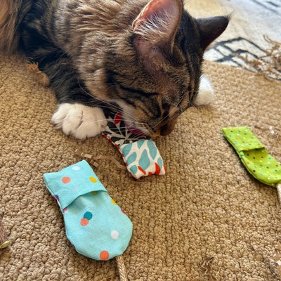 Cat Scent Enrichment Kit 13 Herbs Improve Wellbeing Cat - Etsy