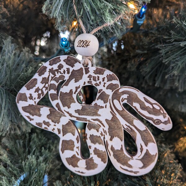 Centipede - Scolopendra - Centipedes - Invertebrates - Arthropod ...