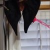 Bat Plush, Fruit Bat, Flying Fox Cute Toys Bat Stuffed Animal Halloween ...