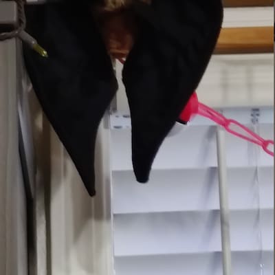 Bat Plush, Fruit Bat, Flying Fox Cute Toys Bat Stuffed Animal Halloween ...