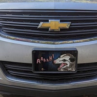 Funny Possum License Plate Screaming Possum License Plate Possum Front ...