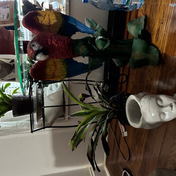 Woman Head Planter Pot /african Queen Pot/ Unique Planters UK/ Concrete ...