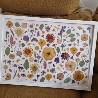 Pressed Tulip Flower Frame Real Tulip Artwork. - Etsy