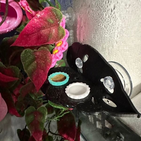 Pink Princess Philodendron Ledge for 0.5oz Deli Cup Crested Gecko ...