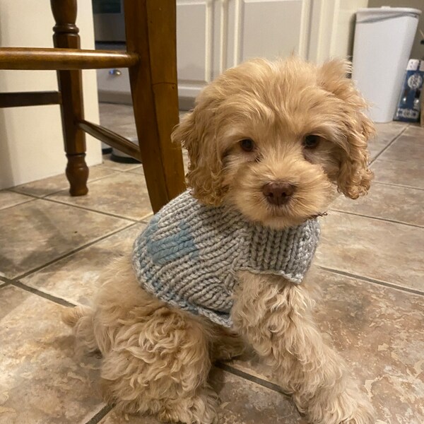 Monogram Dog Sweater, Letter Dog Sweater, Personalized Dog Sweater ...