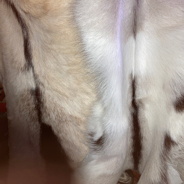 Turkish Goat Skin, Mottled Leather, Genuine Pelt, Home Decor, Home Gift ...