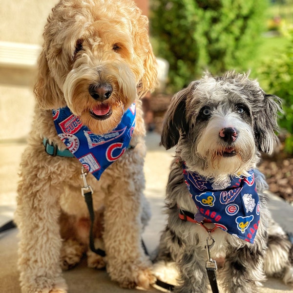 Chicago Cubs Mascot Bandana for Dog // Cat // Puppy // Cubby Bear ...