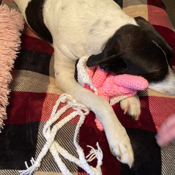 Udderly Adorable Cow Udder Dog Costume! Horn “hat” Also Available ...