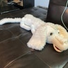 Amigurumi Crochet Pattern for Falkor Inspired Luck Dragon. - Etsy Canada