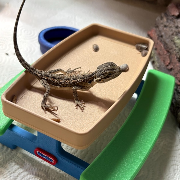 Kiddie Pool Remake 3D Printed Reptile/small Pet Soak Bowl/sandbox Etc 3 ...