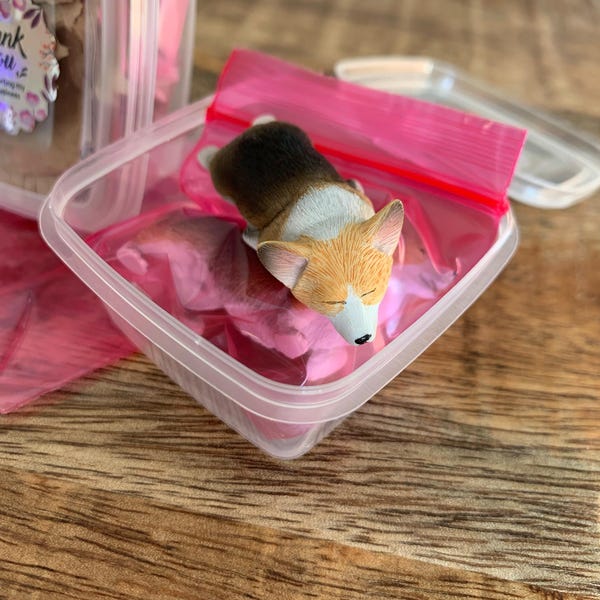 Miniature Human Girl Bikini Model Figures. 1:64 S Scale. Women ...