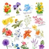 Set of 6 POSTERS in 3 SIZES National Parks Themed Growth Mindset ...