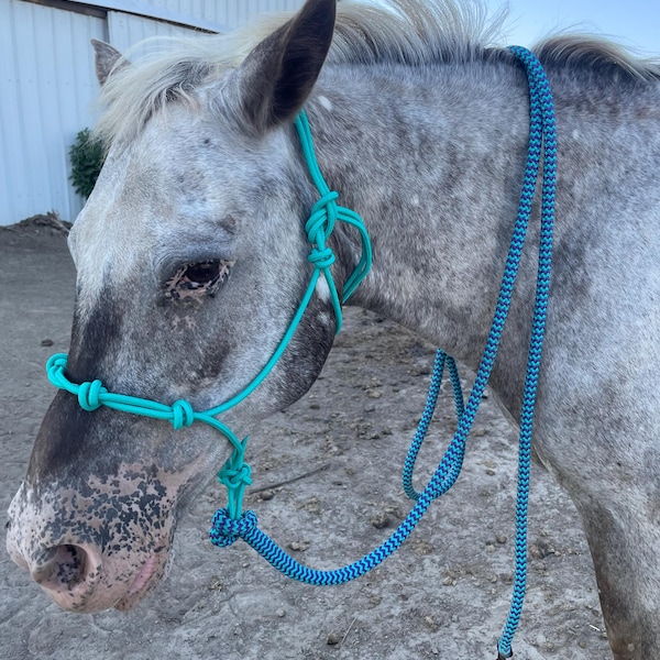 Custom 9 Strand Braided Barrel Reins, Loop Reins - Etsy