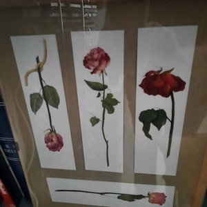 Red Rose Bookmark Dried Rose Bookmark Flower Bookmark Book Lover Gifts ...