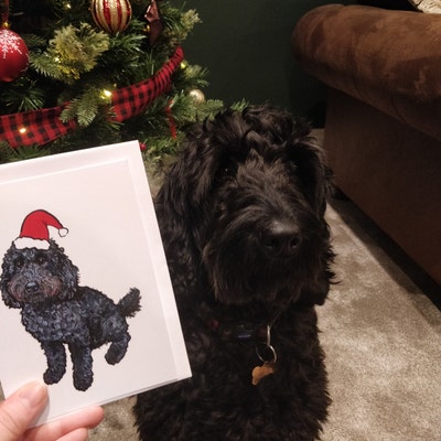 Black Cockapoo Christmas Card - Etsy UK