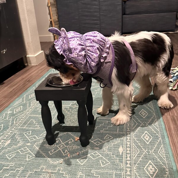 CUSTOM Gnomes - SAMPLES EXAMPLES - Etsy