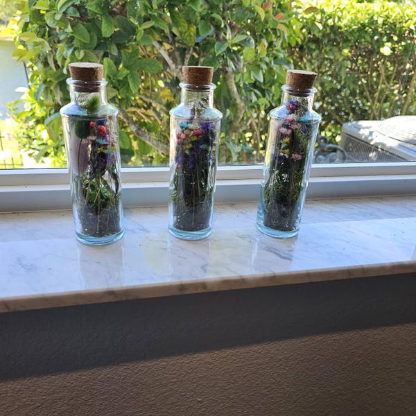 Wildflower Meadow Terrarium: Dried Flowers - Bookshelf & Desk Decor ...