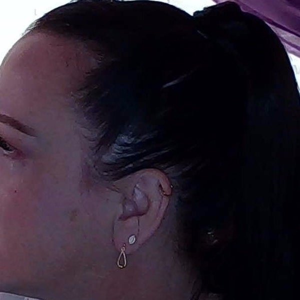 Snake Hinged Segment Hoop Earring, 16g Snake Cartilage Hoop, 16g Snake ...