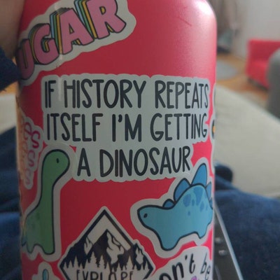 If History Repeats Itself Im Getting a Dinosaur Sticker, Funny History ...