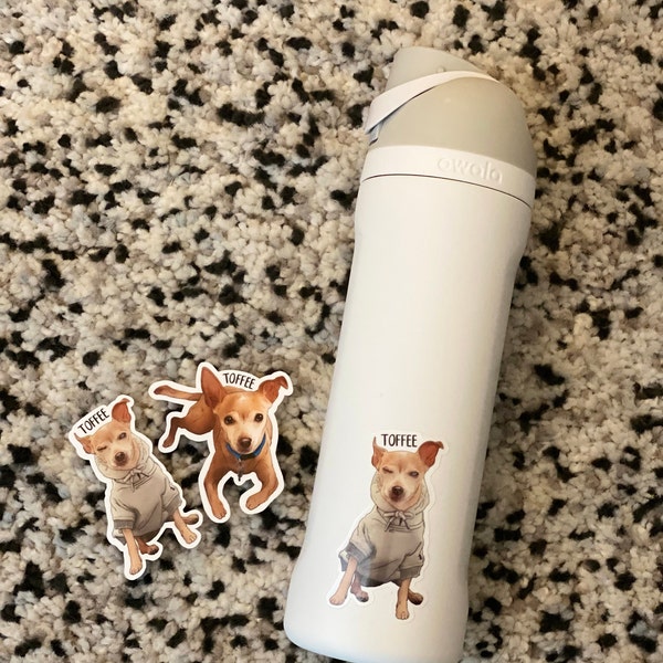 Custom Pet Line Art Sticker, Waterproof Pet Sticker,pet Stickers ...