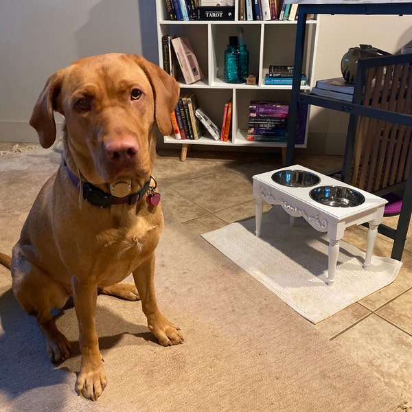 Elevated Dog Cat Pet Feeder HUMAN GRADE 304 Stainless Bowls Raised ...