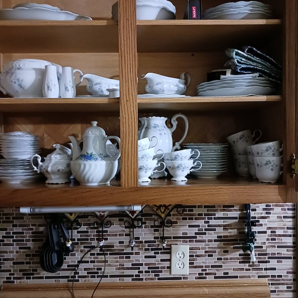 The Pioneer Woman Rose Shadow Dinnerware_ Ceramic Long Term Use_ - Etsy