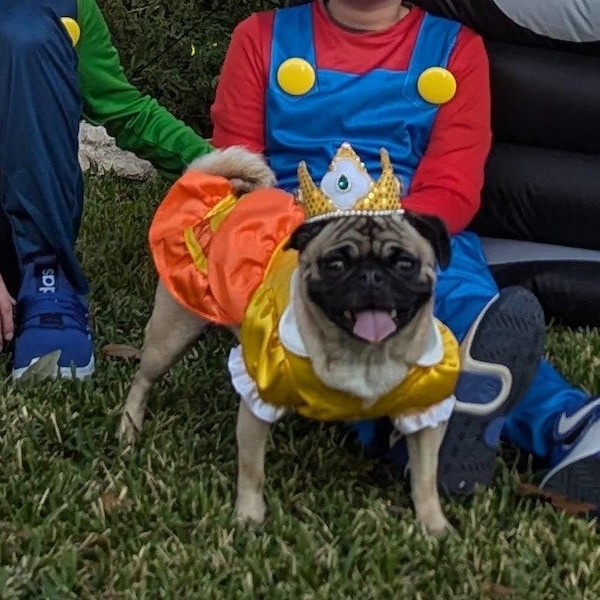 Princess Daisy Dog Costume: Mario Kart Pet Dress With Crown - Etsy