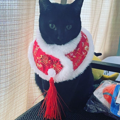 Women's Kofurisode & Hakama Skirt 5PCS Set, Women Graduation Kimono ...