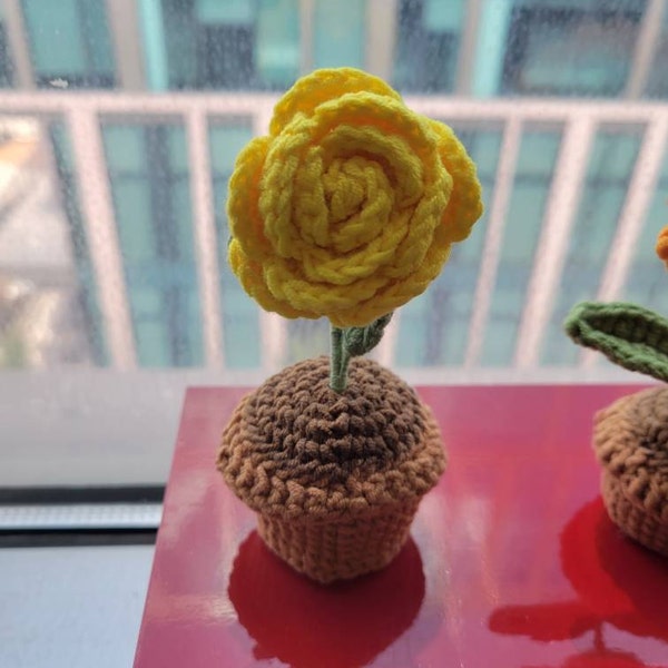 Mother's Day Gift, Crochet Flower Pot Decor: Handmade Mini Cotton Daisy ...