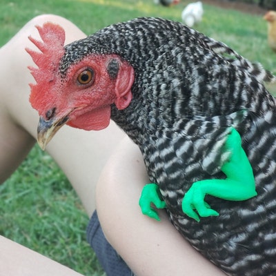 3D Printed Chicken Arms Incredible Hulk Muscled Arms Various Colors - Etsy