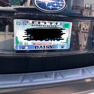 Custom License Plate Laser Cut Acrylic Durable See What I - Etsy