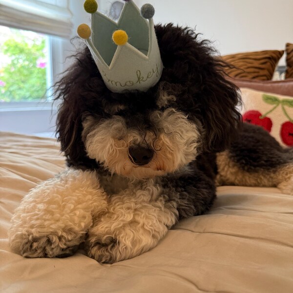 Dog Bandana Kelly GREEN Gingham Bandana for Dogs Snap on Dog Bandana ...