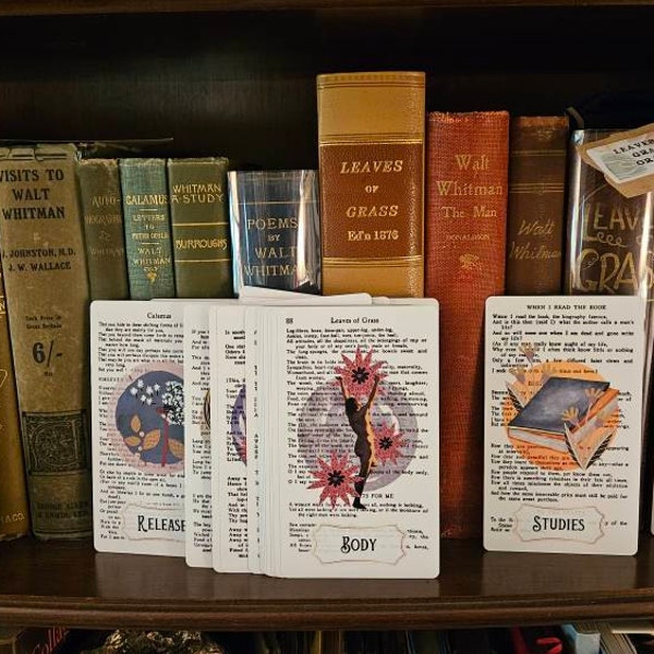 The Weird Science Deck of Curious Cards - A Unique Deck of Creative ...