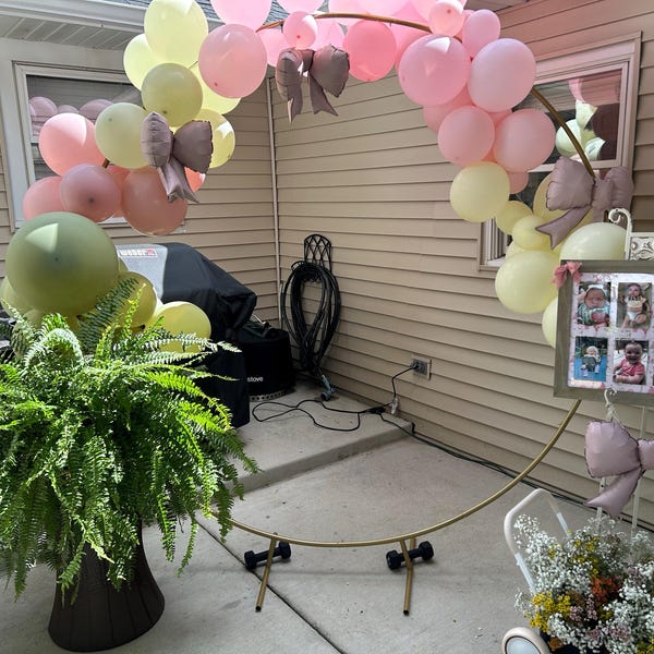 One Silly Goose Balloon Garland Balloon Arch Girls Silly Goose Birthday ...