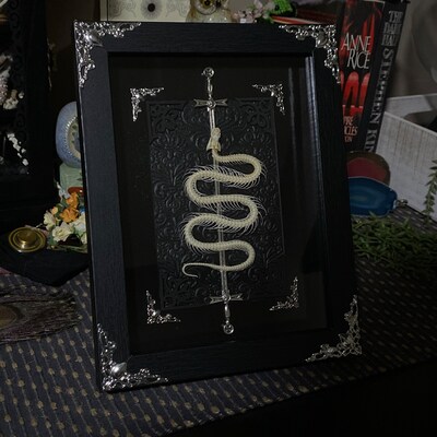 PREORDER Real Snake Skeleton Hypsiscopus Plumbea in Gothic Frame 3D ...