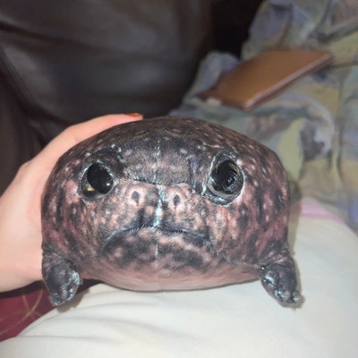NEW Rain Frogs Grumpy Frog Mini Plushie Stuffed Animals - Etsy