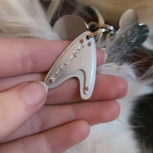 Star Trek Picard Number 1 Pet Tag - Etsy
