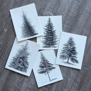 Pine Tree Note Card Set of 10 in White or Light Ivory With Matching ...