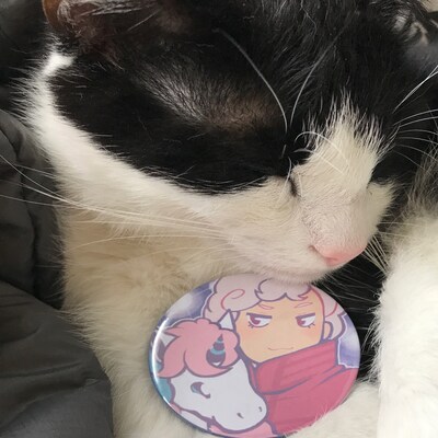 Pokemon Trainer Pin Badges - Etsy