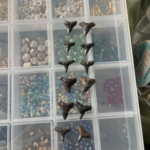 Make Yer Own Shark Art Kit Reef Shark | Etsy