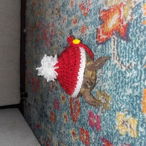 Tortoise Sweaters, Pet Costume, Turtle Sweater, Cute Animals, Tortoise ...