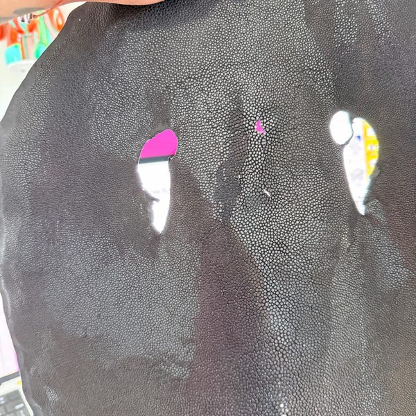 Genuine Olive Python Skin, Green Glossy Snake Skin, Red Matte Snake ...