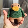 Sprout the Forest Sprite Acorn Crochet Plushie Doll Pattern - [DIGITAL ...