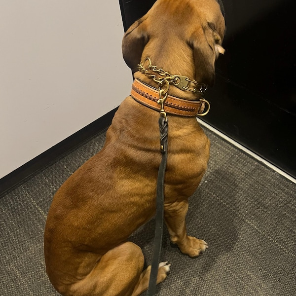 Custom Powder Coated 14K Yellow Gold Herm Sprenger Prong Collar for ...