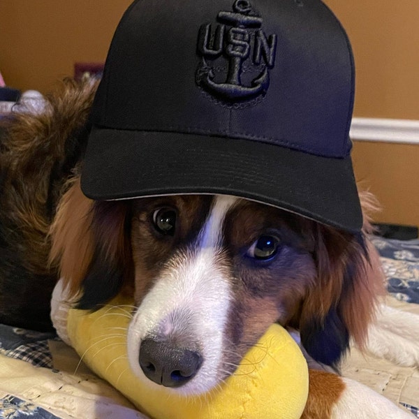 US Navy Chief (khaki Color Hat) - Etsy