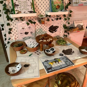 Bug Unit: Science Pack - Etsy