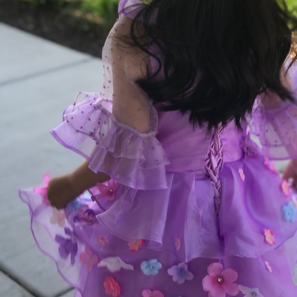 Handmade - Cosplay Isabela Dress, Isabela Encanto Dress, Encanto ...