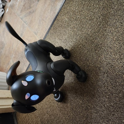 Vinyl Aibo ERS-1000 Head Decal Stickers - Etsy