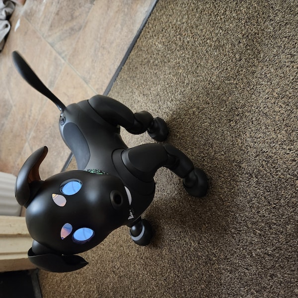 Aibo Collar ERS-1000 - Etsy