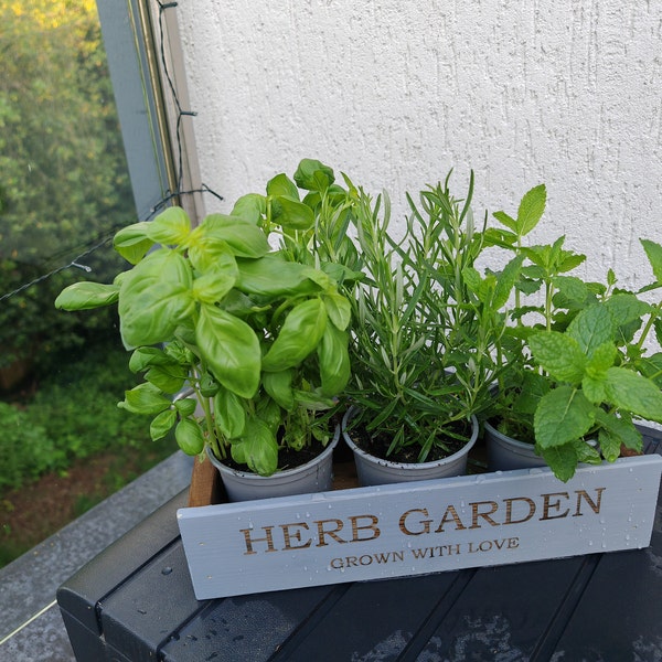 Wall Mounted Wood Milk Box for 2litre/4pt PLASTIC BOTTLES. Porch Milk ...